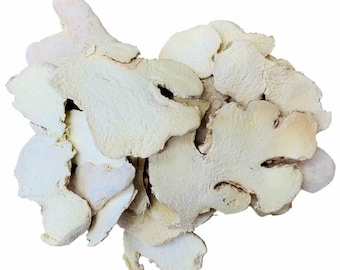 Ginger Slices | Zingiber Officinalis | Botanical | Natural | Herbal ...