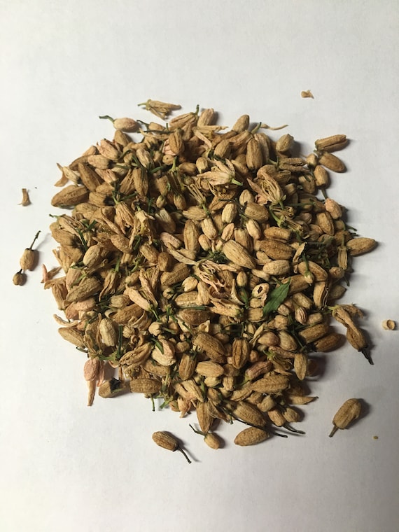 Dried Mandarin Orange Tree Buds - Etsy