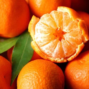 Mandarin Orange Fruit Powder - Etsy