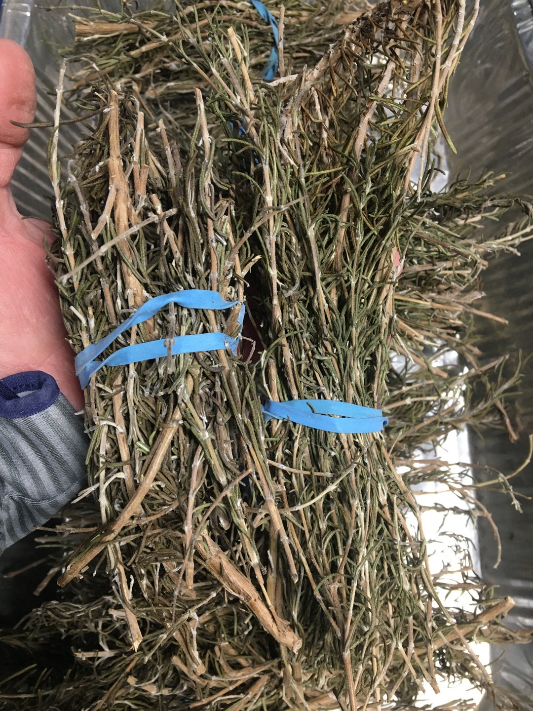 Dried Rosemary Bundle - Etsy