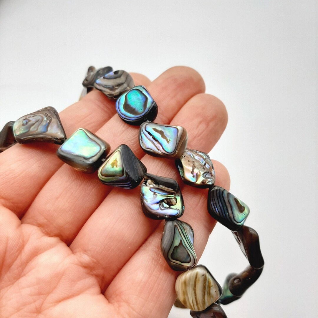 Irregular Abalone Shell Beads: New Zealand Drilled Gemstone (12x16x5mm ...