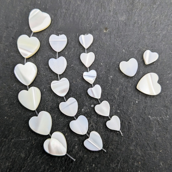 Heart Shaped Shell - Etsy