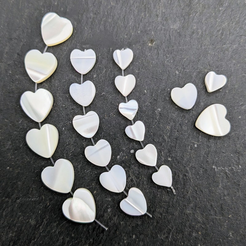 Heart Shaped Shell - Etsy