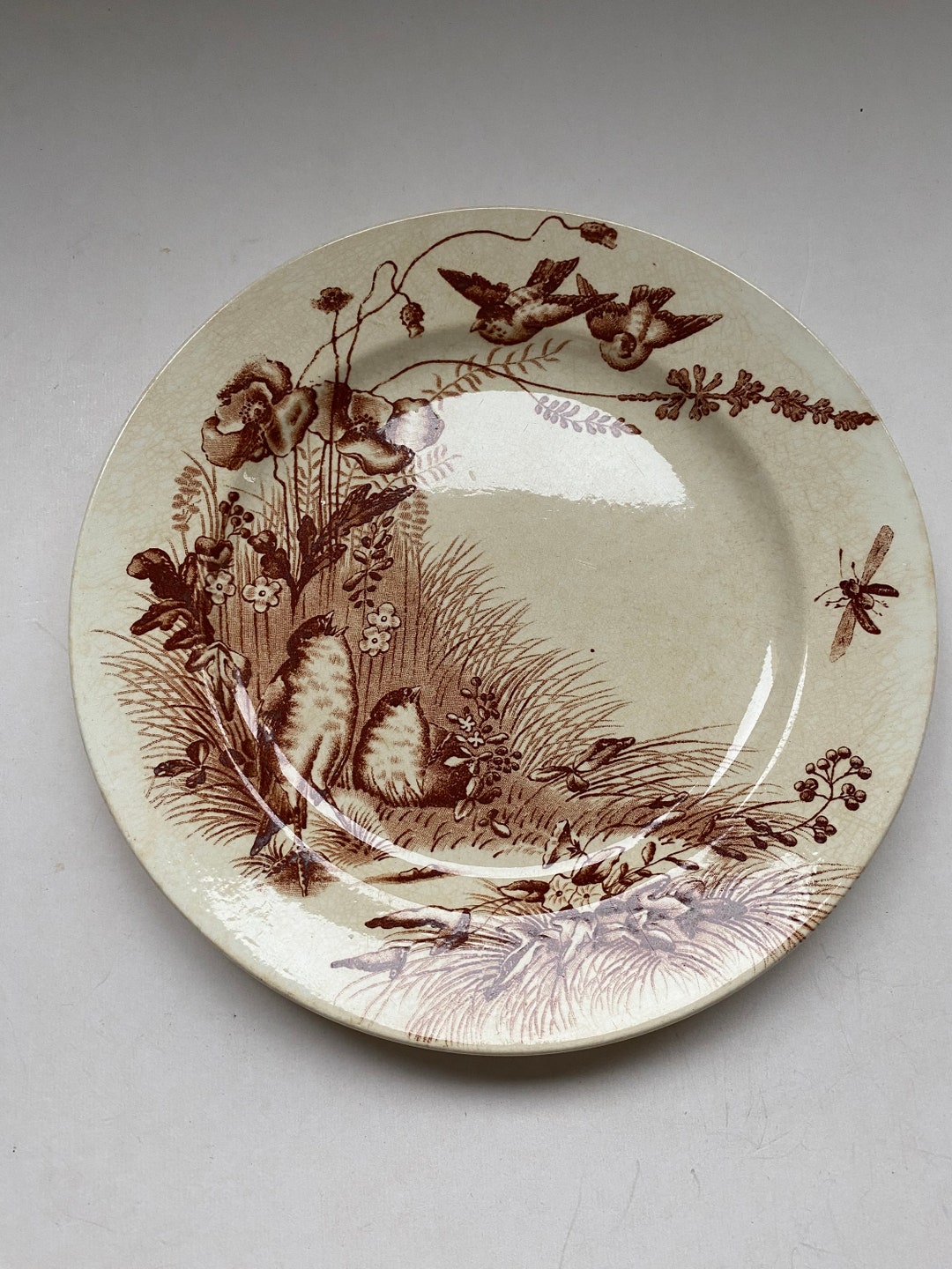 Dinner Plate Jules Vieillard Pattern "bird" Bordeaux 19th Century Brown ...