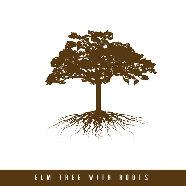 Elm Tree - Etsy