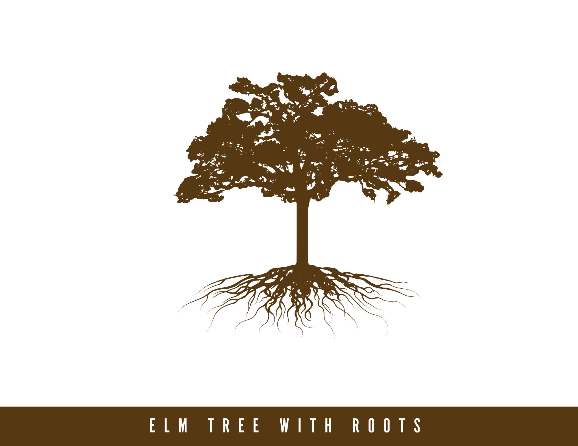Elm Tree With Roots Vector - Etsy