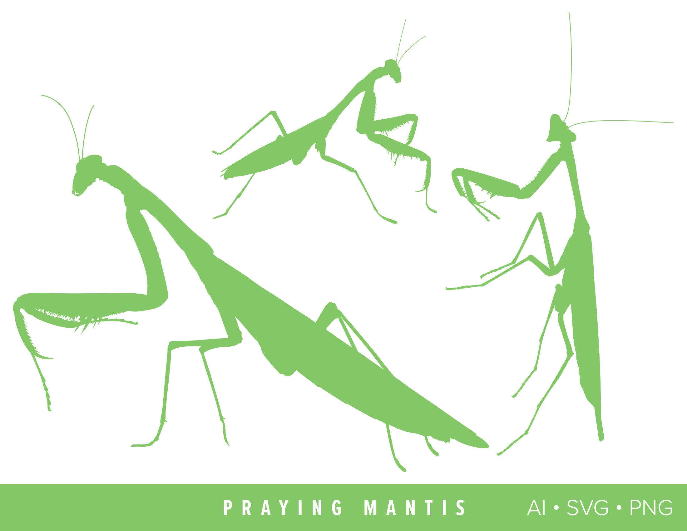 Praying Mantis - Etsy