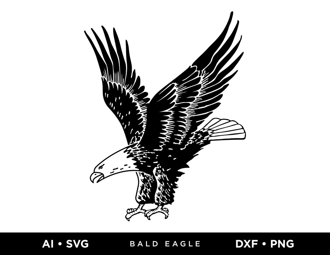Bald Eagle - Etsy
