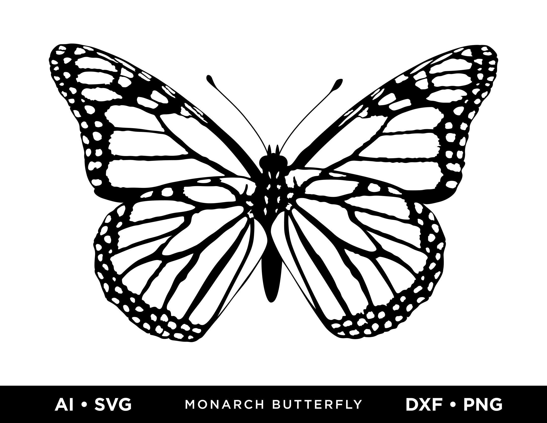 Monarch Butterfly - Etsy