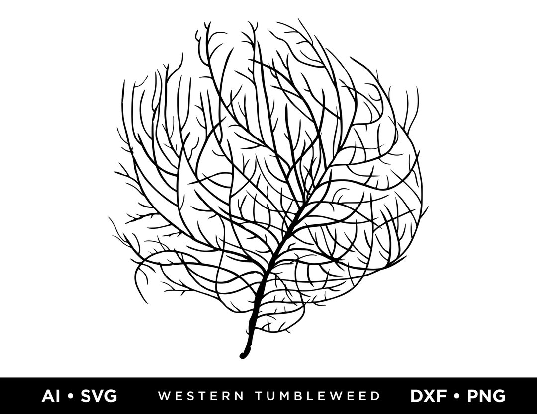 Western Tumbleweed - Etsy