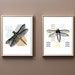 Set of 2 Prints Geometric Insect Wall Art Print Printable Dragonfly and ...