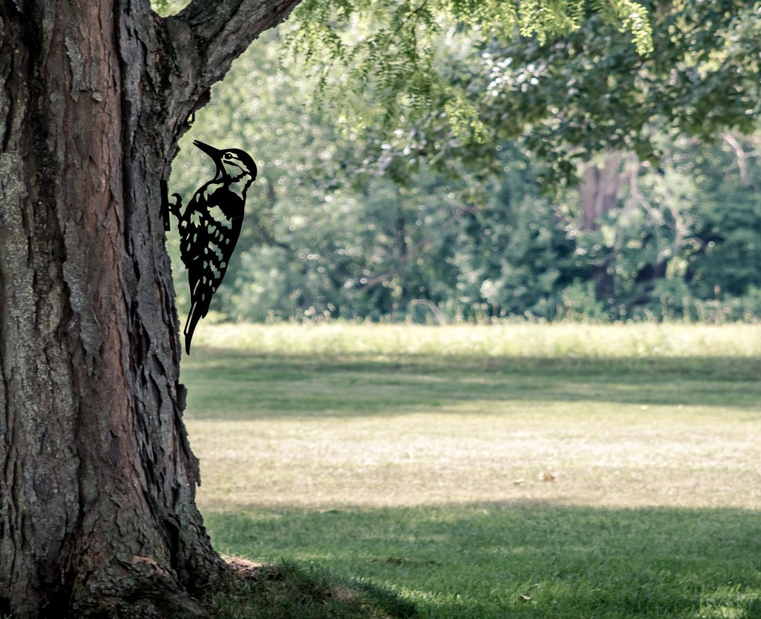 Bird Metal Garden Plug, Unique Birds Metal Garden Stake, Metal Garden ...