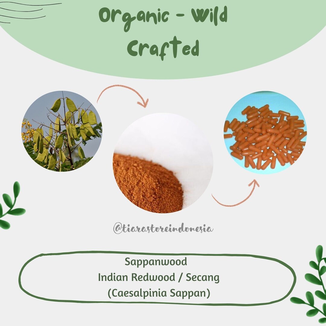 POWDER / Capsules Sappanwood Indian Redwood Secang Caesalpinia - Etsy ...
