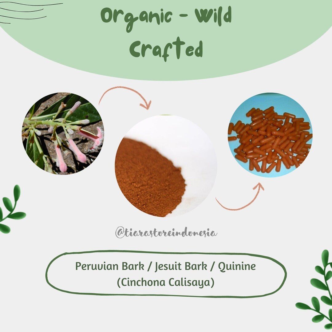 POWDER / Capsules Peruvian Bark Quinine Jesuit Bark Cinchona - Etsy Canada