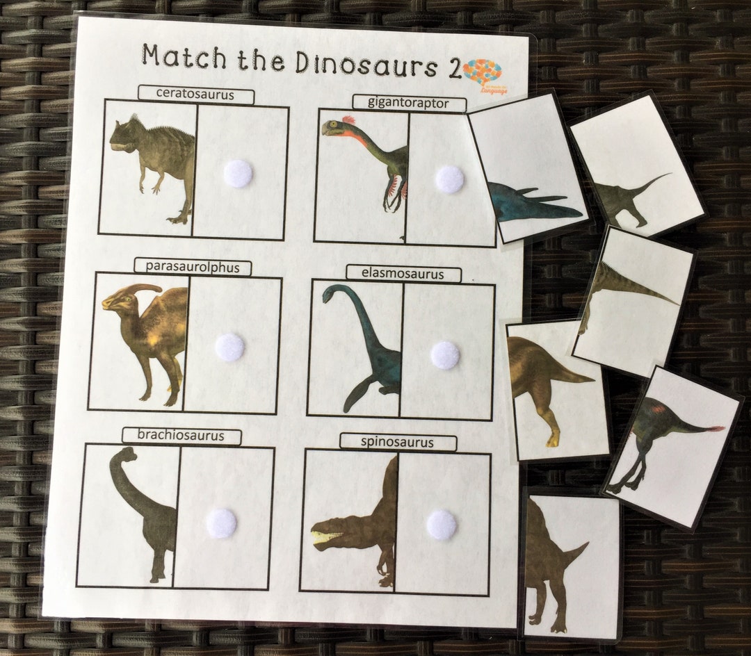 Match the Dinosaurs 2 Activity, Front and Back, Match the Tails to the ...
