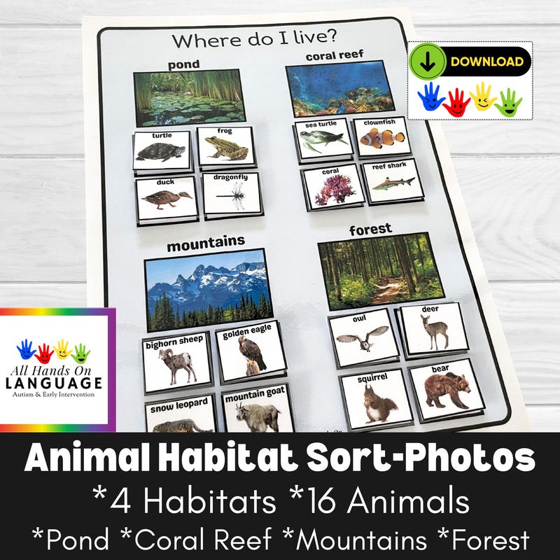 AllHandsOnLanguage - Etsy