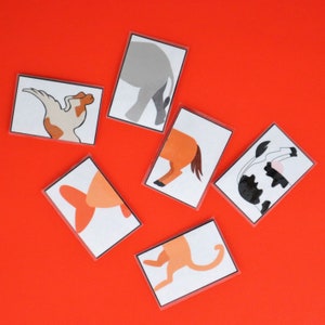Match the Animal Halves Activity, Front, Back, Match the Back to the ...