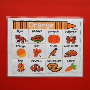 Orange Matching Activity for Kids, Match and Name the Orange Colored ...