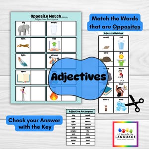 Set of 4 Interactive Antonym Matching Activity Sheets, 10 Opposite ...