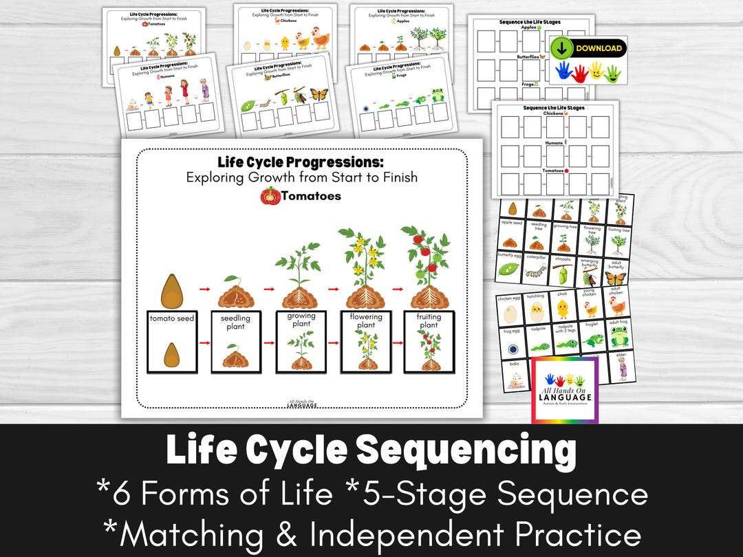 Life Cycle Sequencing Interactive Activities, Linear Progressions, 5 ...