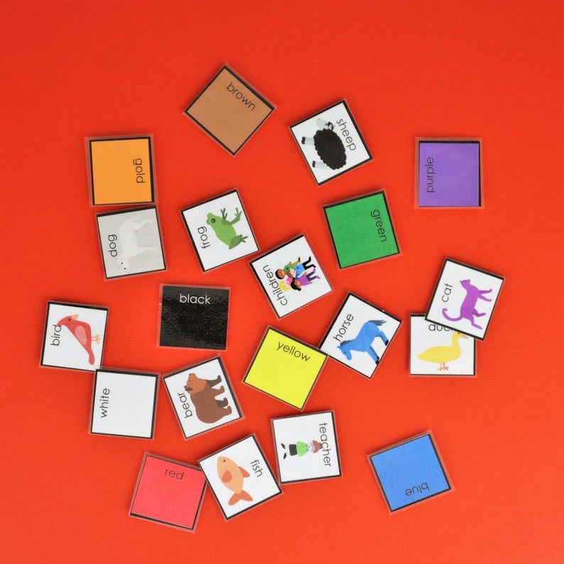 Brown Bear Brown Bear Story Companion Colors and Animals on - Etsy