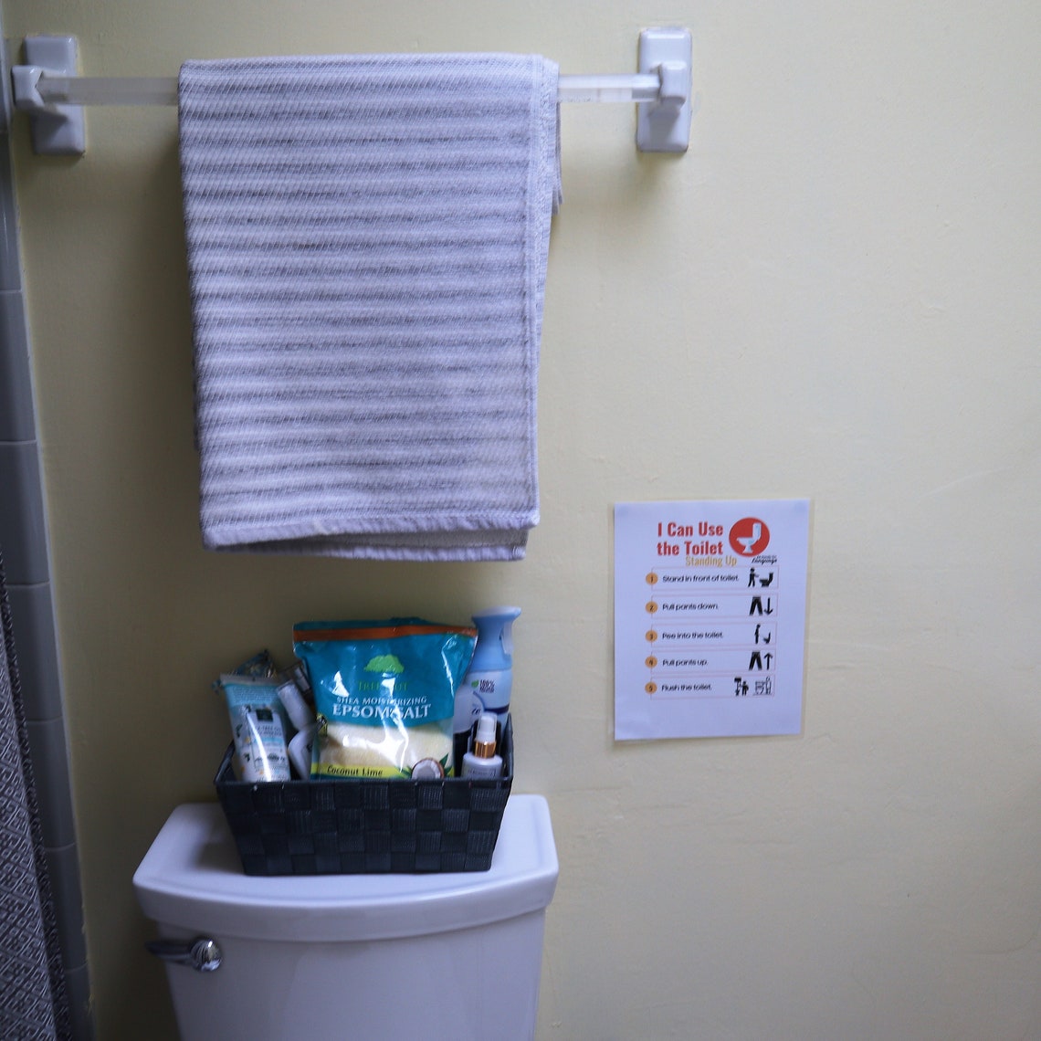 Toileting Sequence Chart I Can Use the Toilet Standing Up - Etsy