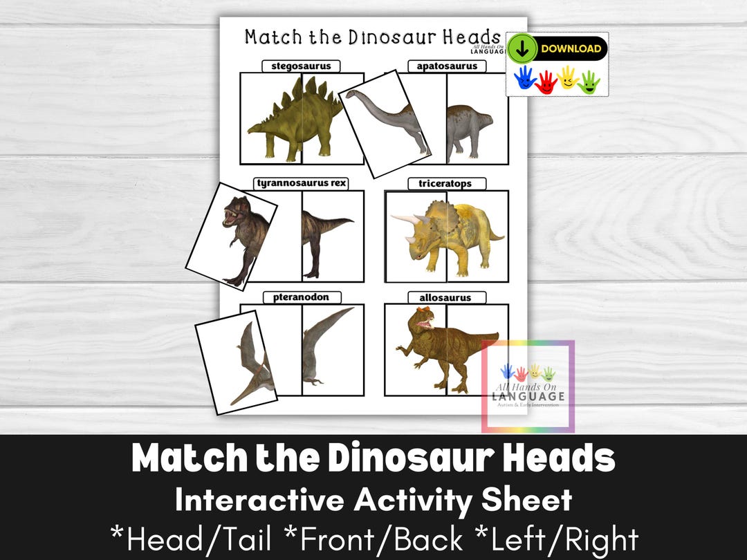 Match the Dinosaur Heads Interactive Activity, Front and Back, Match ...