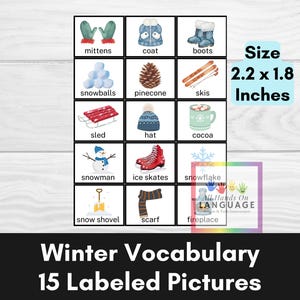 Winter Language Activity Set: Vocabulary, Prepositions, Sentences, WH ...