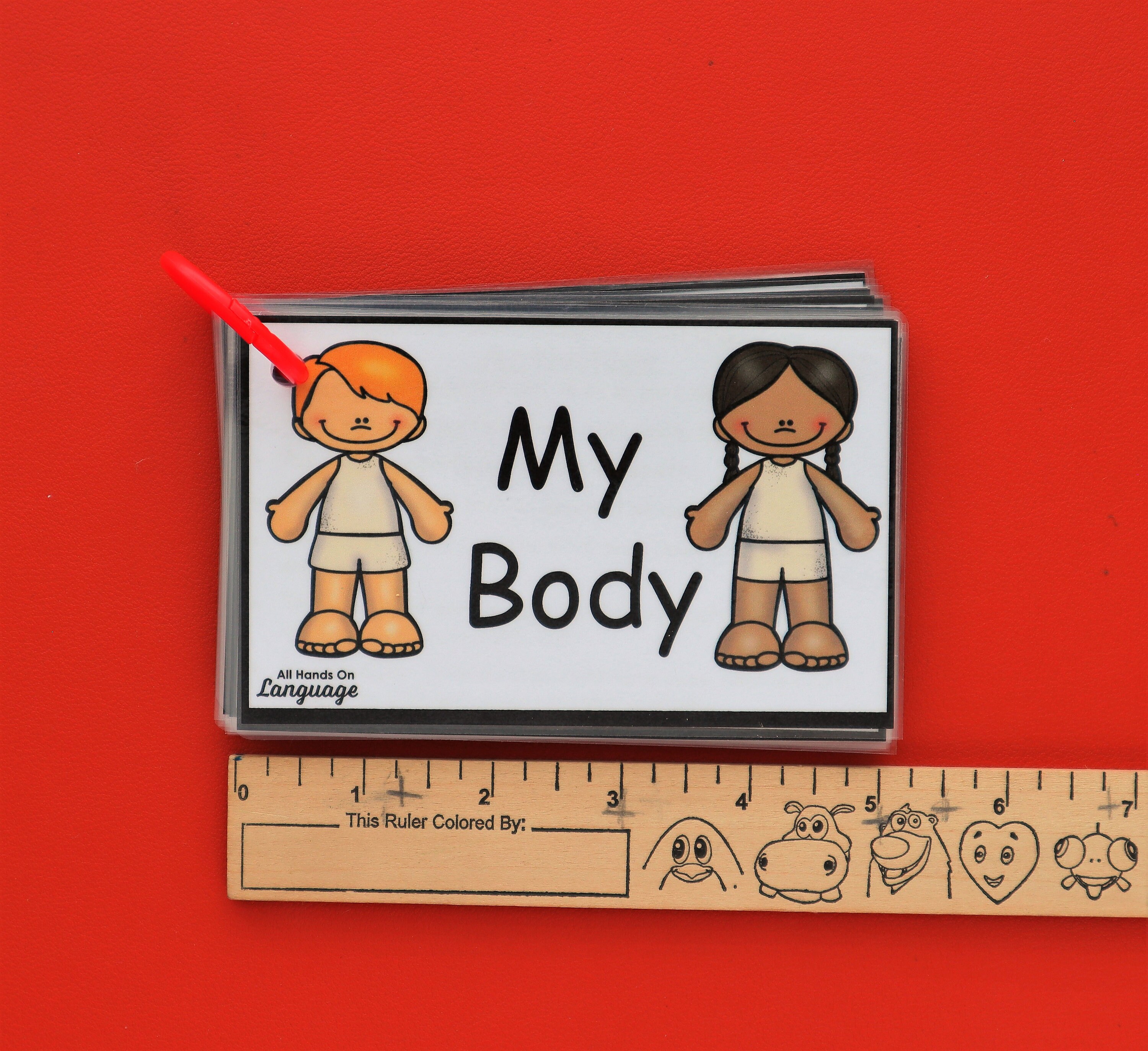 My Body Flashcard Set 26 Body Parts Language Academic - Etsy