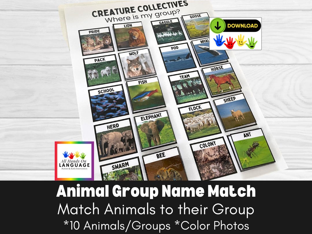 Animal Collective Nouns Matching Game: Speech Therapy (printable PDF ...