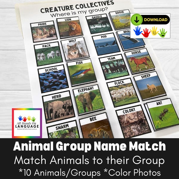 Animal Group Names - Etsy