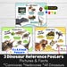 Dinosaur Reference Posters: Carnivores, Herbivores, Common Traits (US ...
