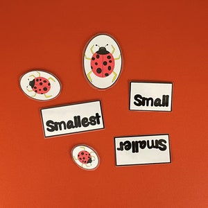 Small, Smaller, Smallest Ladybug Matching Activity, Put the Ladybugs in ...