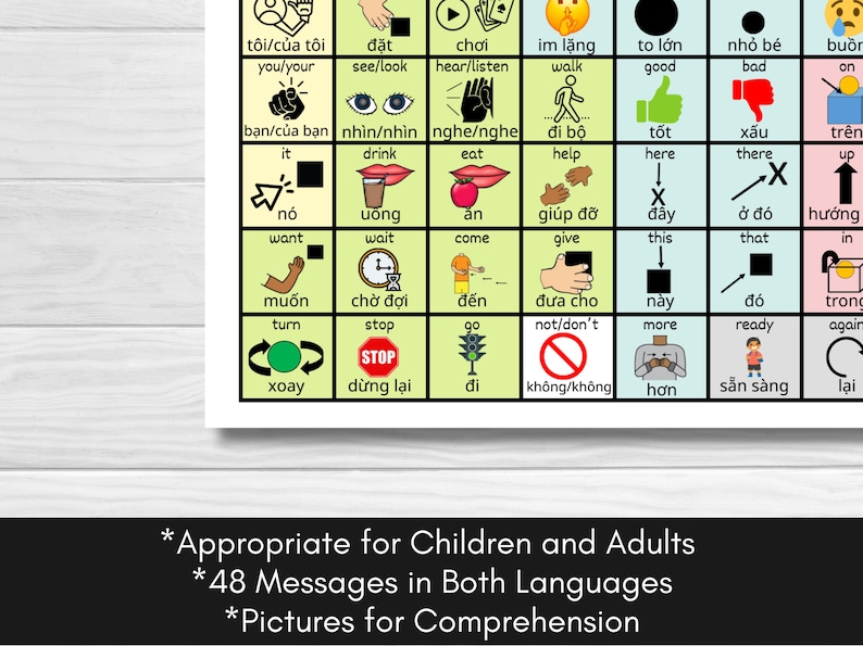 Bilingual Vietnamese English Communication Board: 48 AAC, ESL (PDF ...