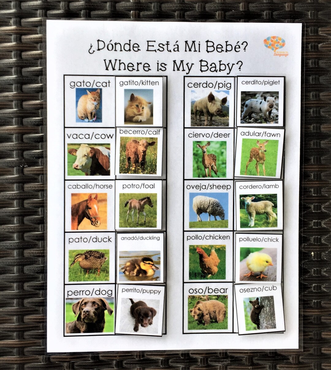 Bilingüe Español Inglés Actividad de emparejamiento de animales y ...