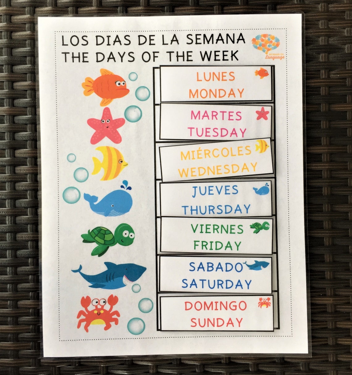 Bilingual Spanish/english Days of the Week Activity Match the - Etsy