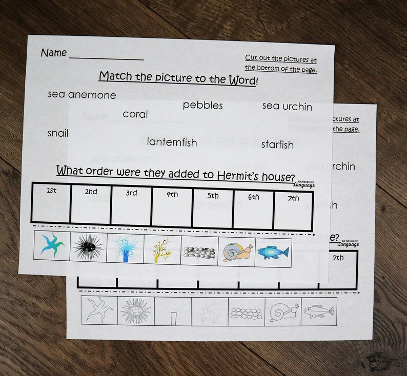 A House for Hermit Crab Story Companion Activities for - Etsy