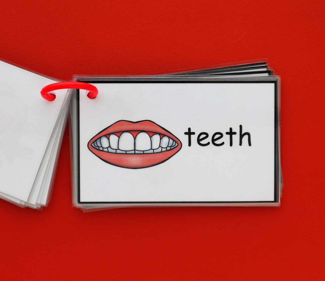 My Body Flashcard Set 26 Body Parts Language Academic - Etsy