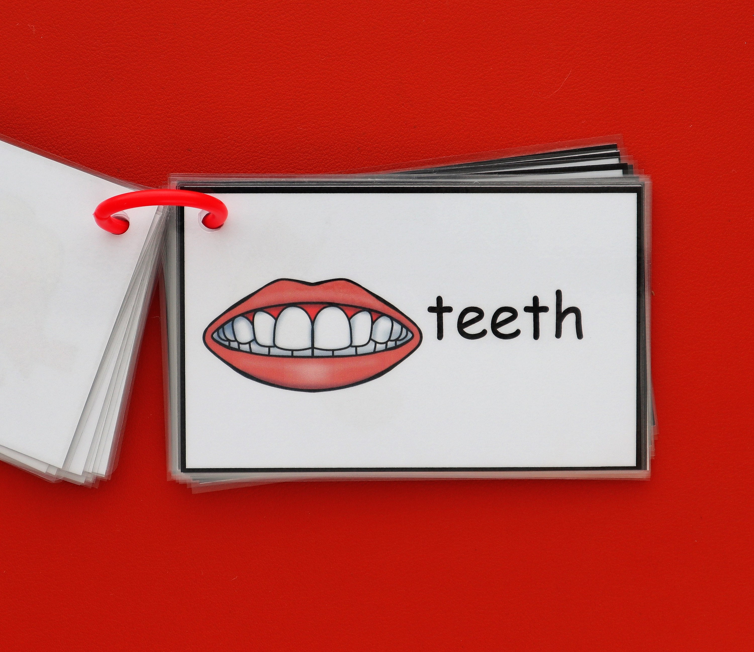 My Body Flashcard Set 26 Body Parts Language Academic - Etsy