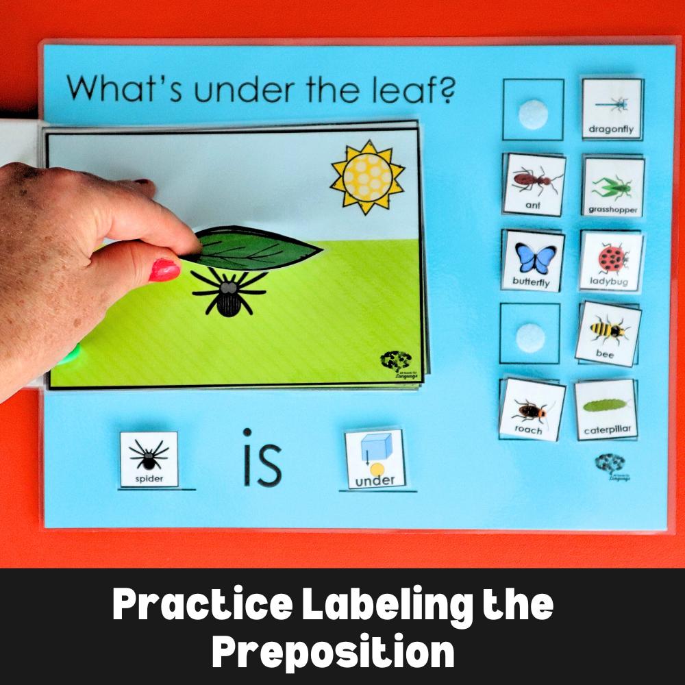 Bugs & Insects Interactive Flap Book: Preposition "under", Sentence ...