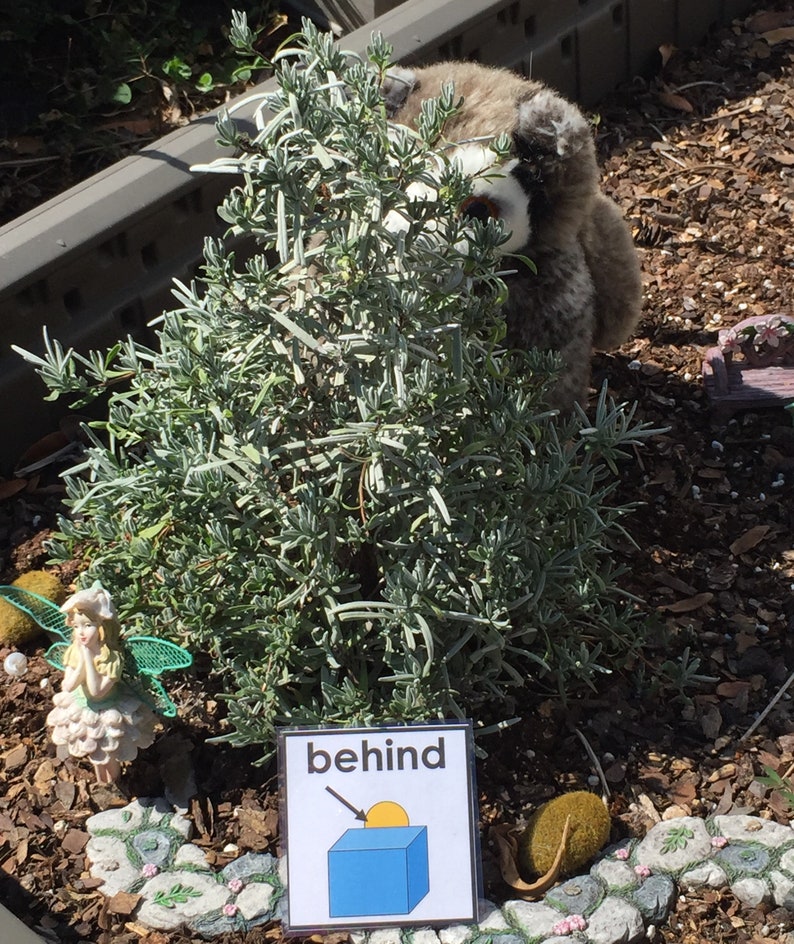 What's Behind the Tree Interactive Book for Preposition - Etsy