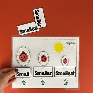 Small, Smaller, Smallest Ladybug Matching Activity, Put the Ladybugs in ...