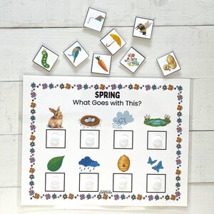 Spring-themed What Goes With This? Associations Matching Activity ...