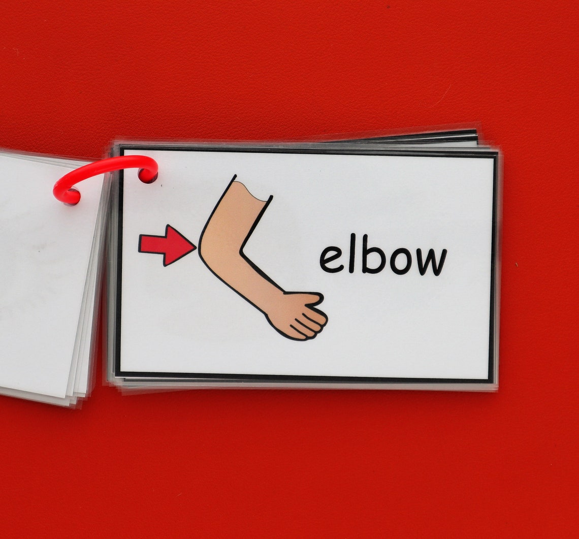 My Body Flashcard Set 26 Body Parts Language Academic - Etsy