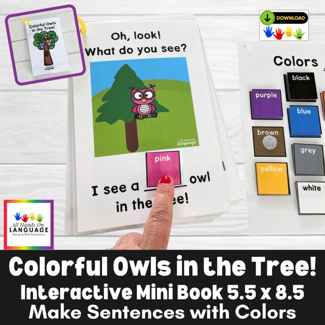 Colorful Owls Interactive Book: Color Matching Game Speech Therapy ...