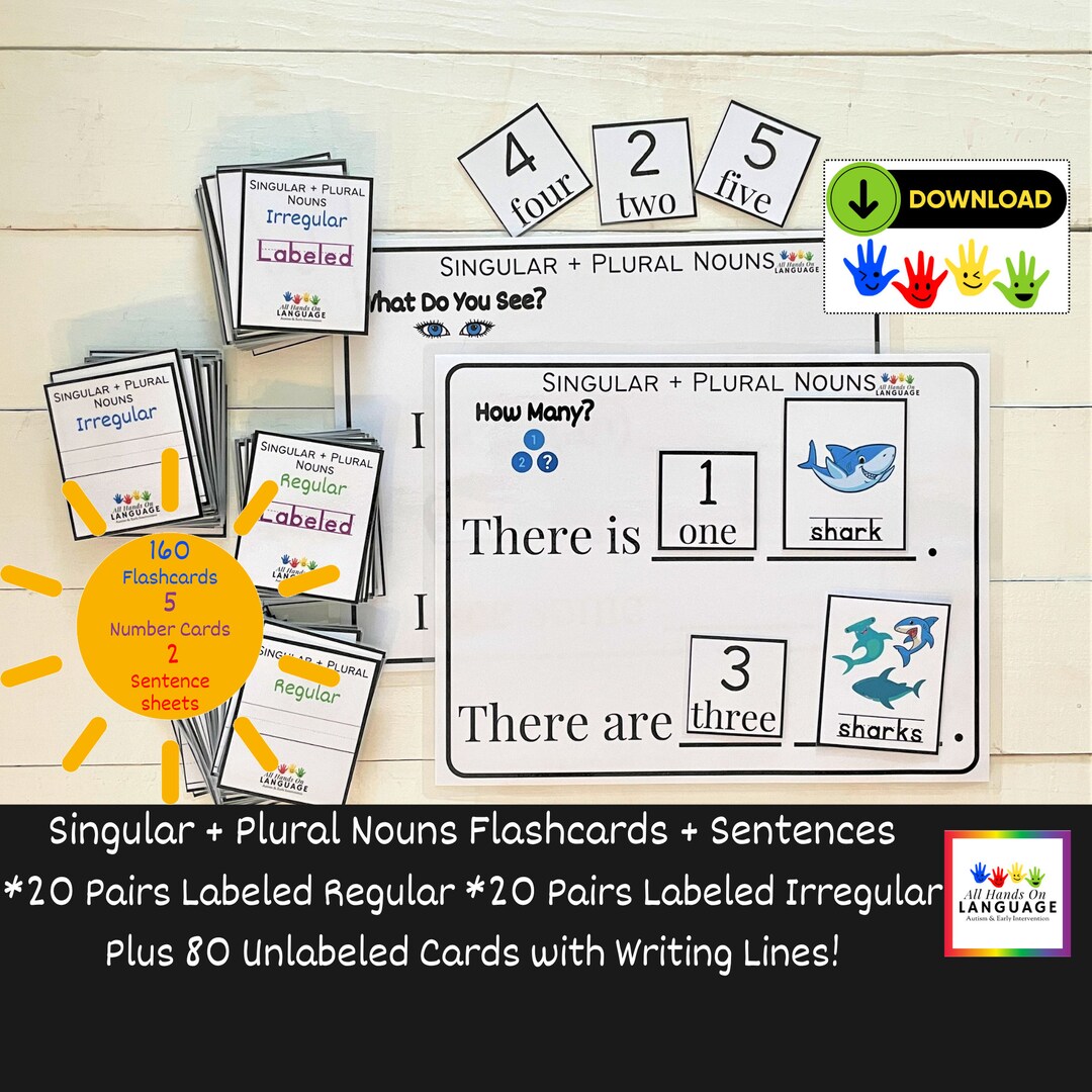 Singular and Plural Nouns Flashcards Sentences, 40 Pairs of Regular and ...
