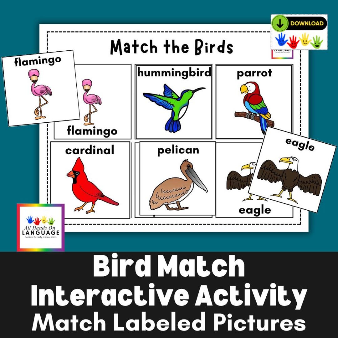 Bird Matching Activity: Preschool & Autism Learning (PDF Printable) - Etsy