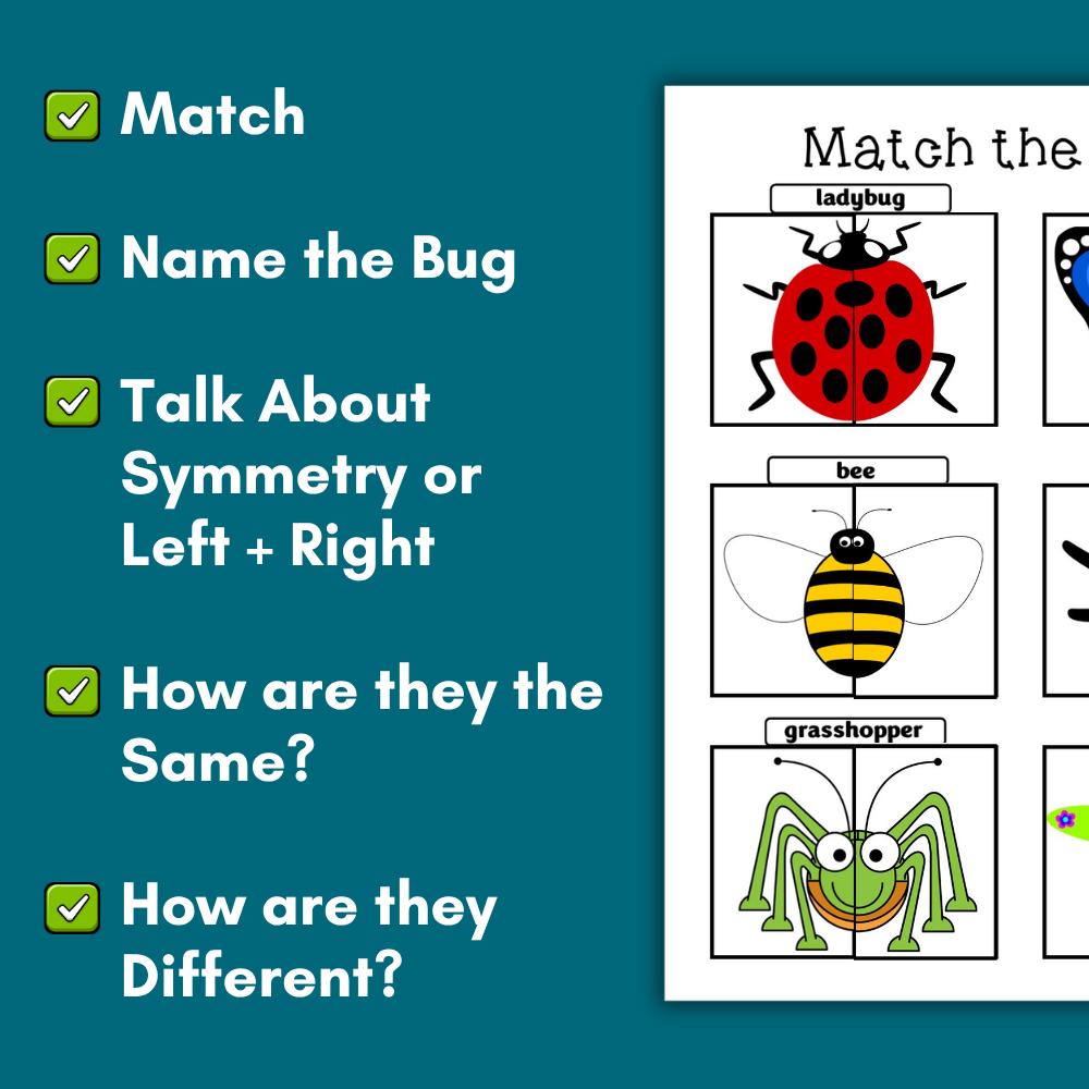 Match the Bug Halves Interactive Activity, Left and Right, Symmetry ...