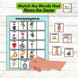 Set of 4 Interactive Synonym Matching Activity Sheets, 10 Synonym Pairs ...