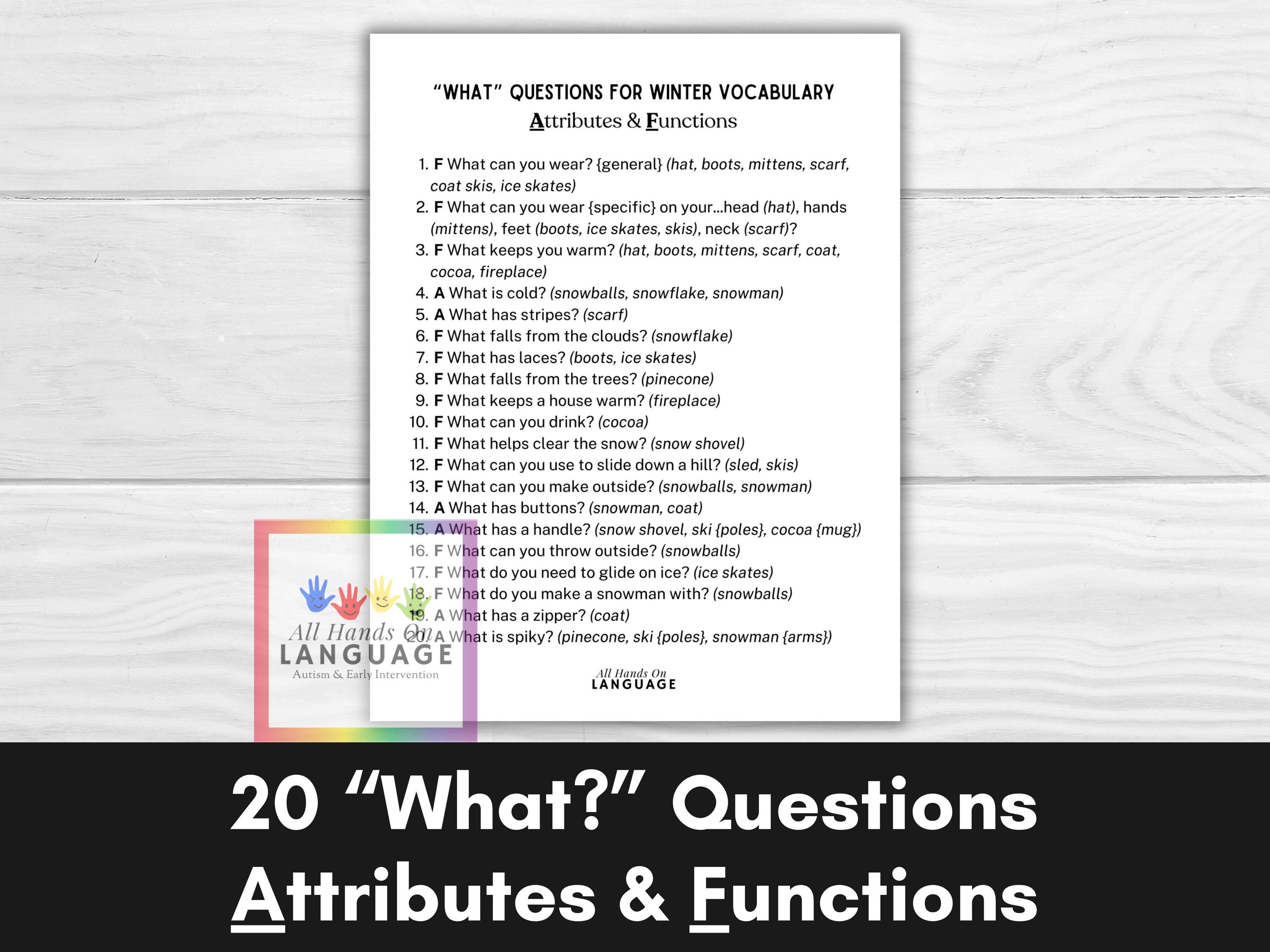 Winter Language Activity Set: Vocabulary, Prepositions, Sentences, WH ...